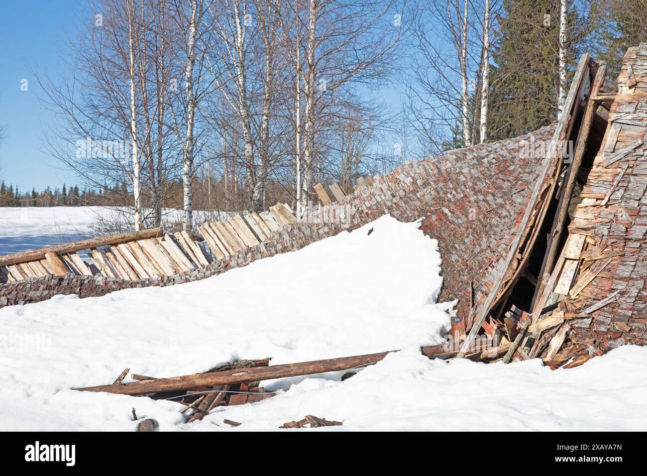Collapsed structure destroyed by snowfall in Finland, end of winter ...