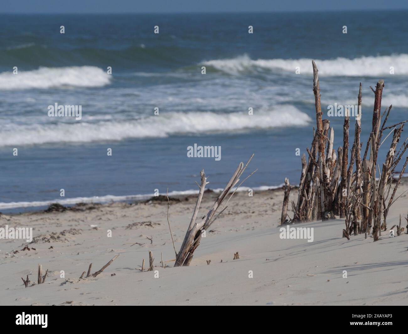 Wooden piles stuck in a deserted sandy beach with gentle waves and blue ...