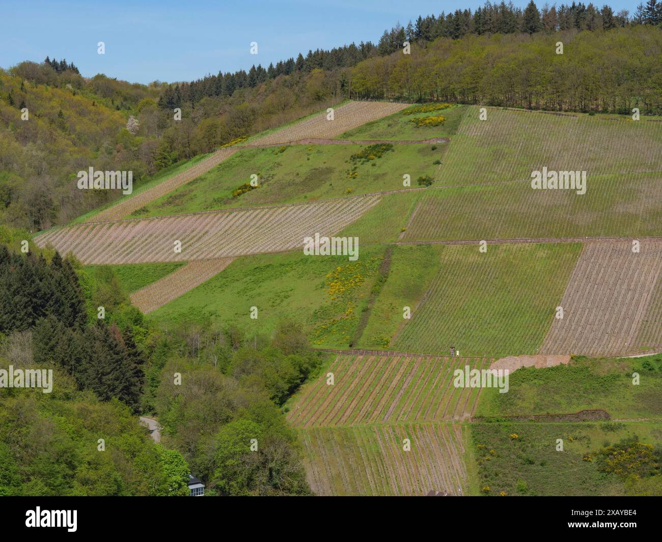 Wide fields and agriculturally utilised hills that dominate the picture ...