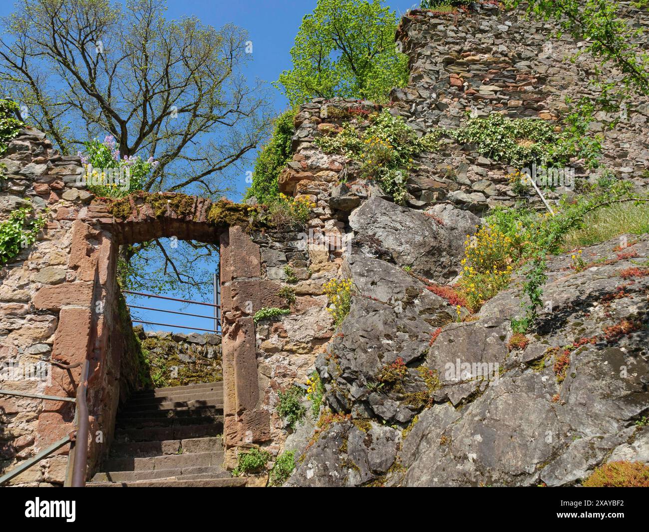 Entrance to a historic ruin with stone walls and an archway, surrounded ...
