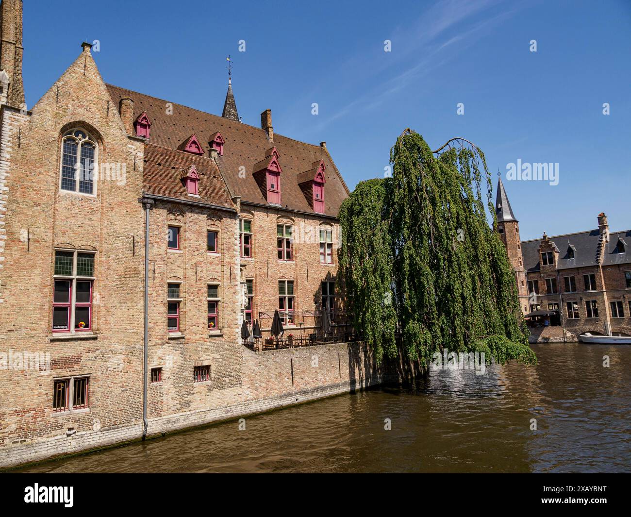 Medieval brick architecture by the river with an overhanging tree and ...