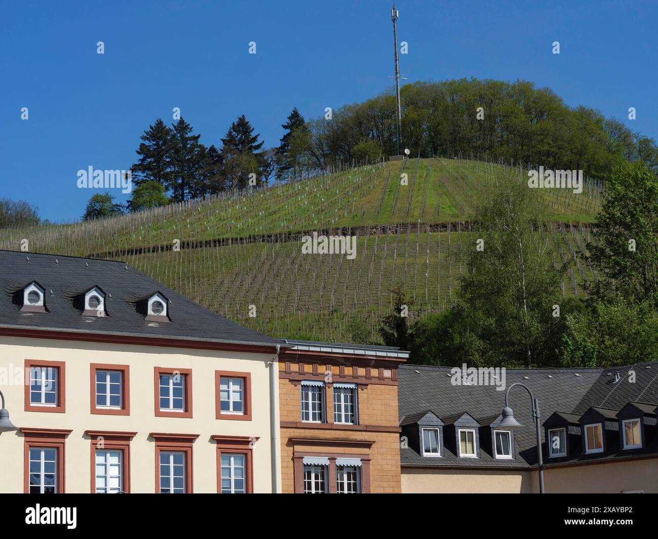 Vineyard on a hill with historic buildings at the foot under a clear ...