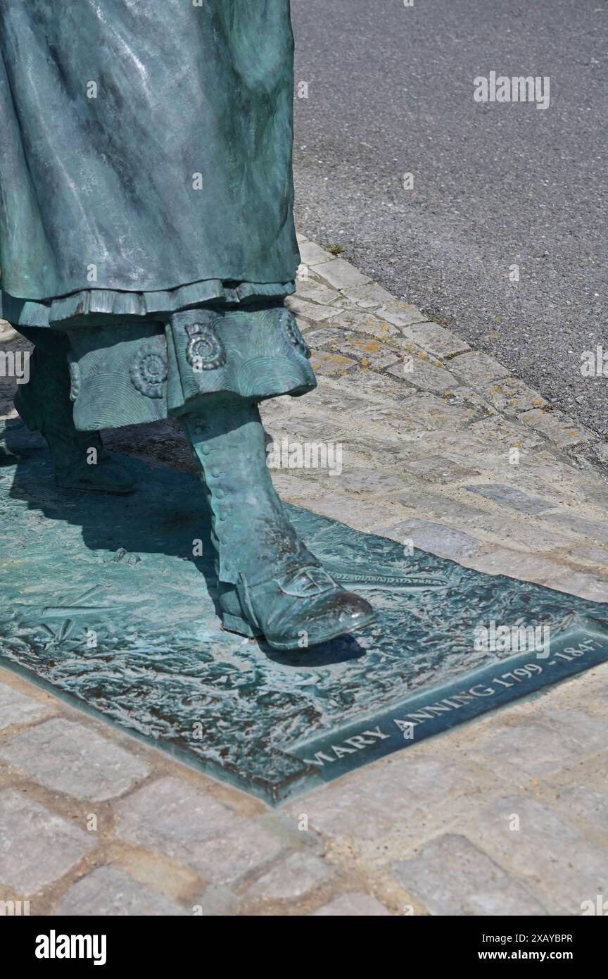 Mary anning fossil hi-res stock photography and images - Alamy