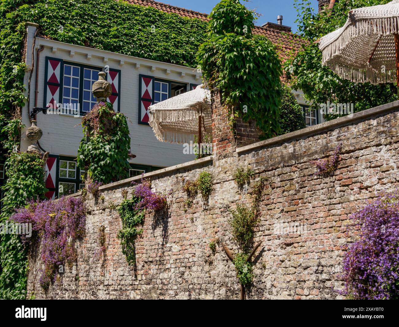 Ivy covered roofs hi-res stock photography and images - Alamy