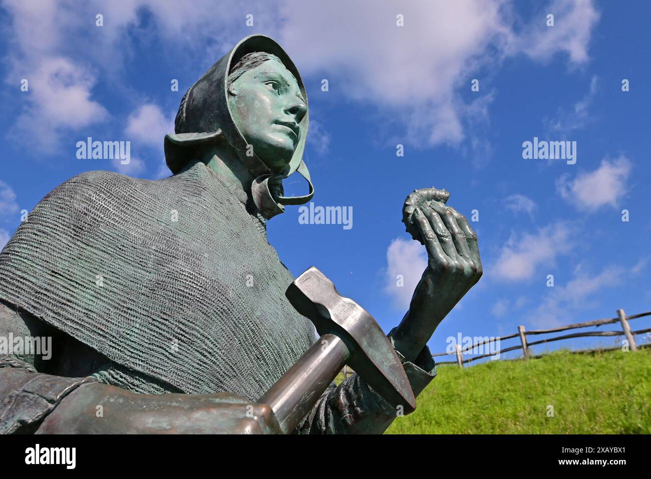 Fossil hunters century hi-res stock photography and images - Alamy
