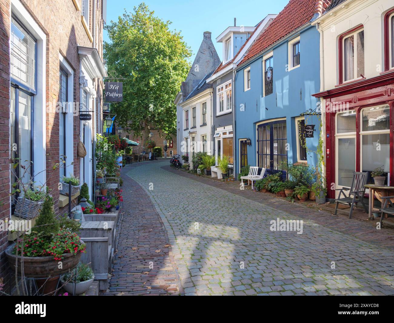 Narrow cobbled alley with historic buildings, facades and plants that ...