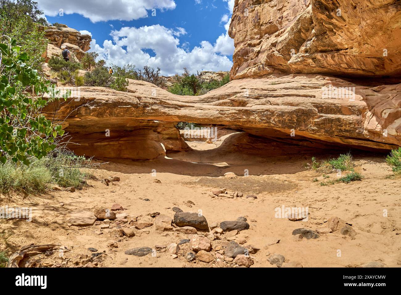Utah, United States of America - June 8, 2024: Rocks and rock ...