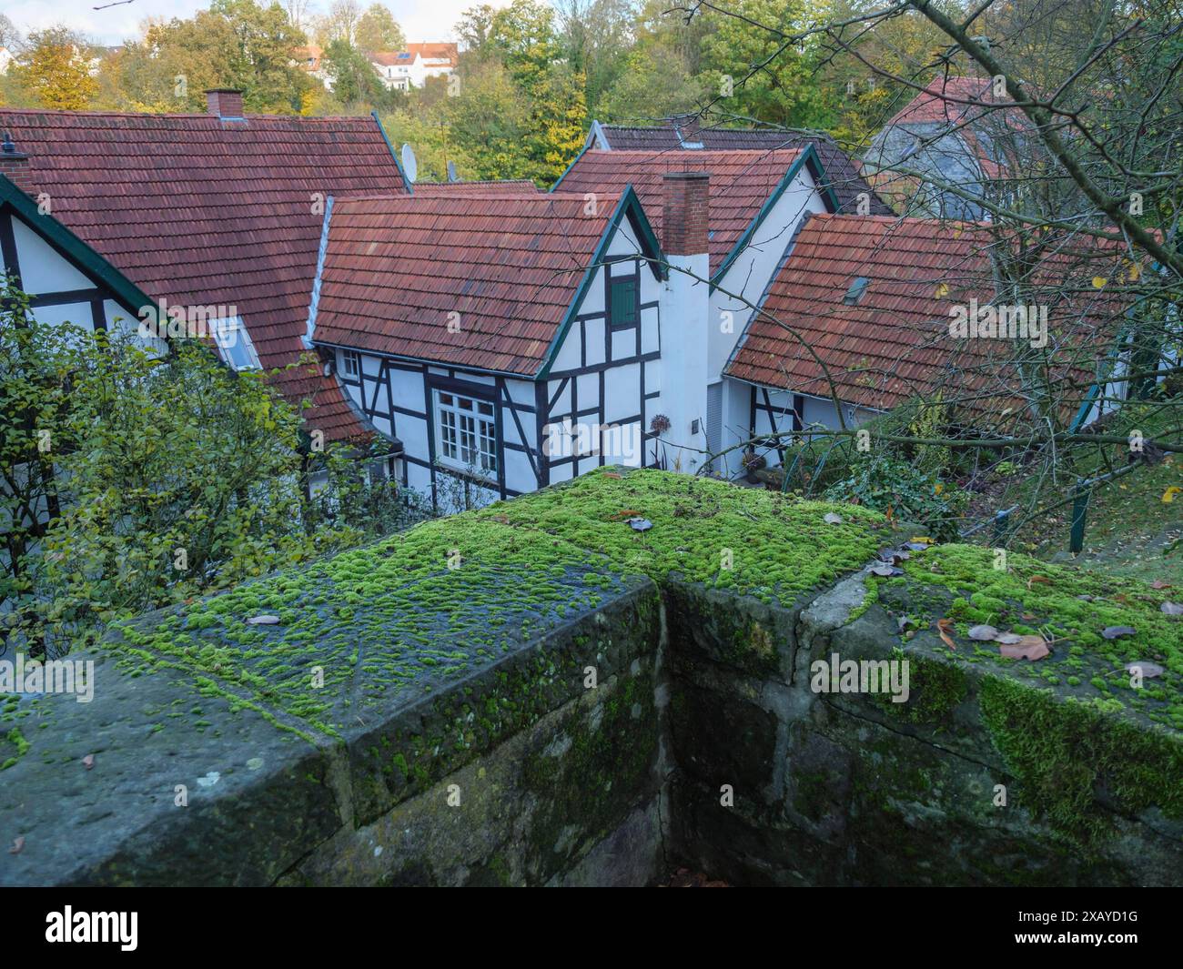 Village view with half-timbered houses, red roofs and moss-covered ...