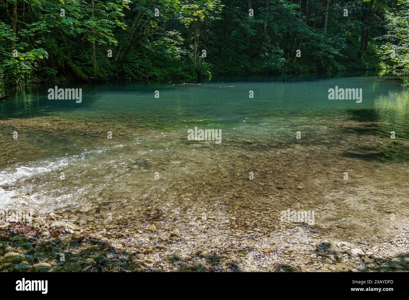 Clear river in forest hi-res stock photography and images - Alamy
