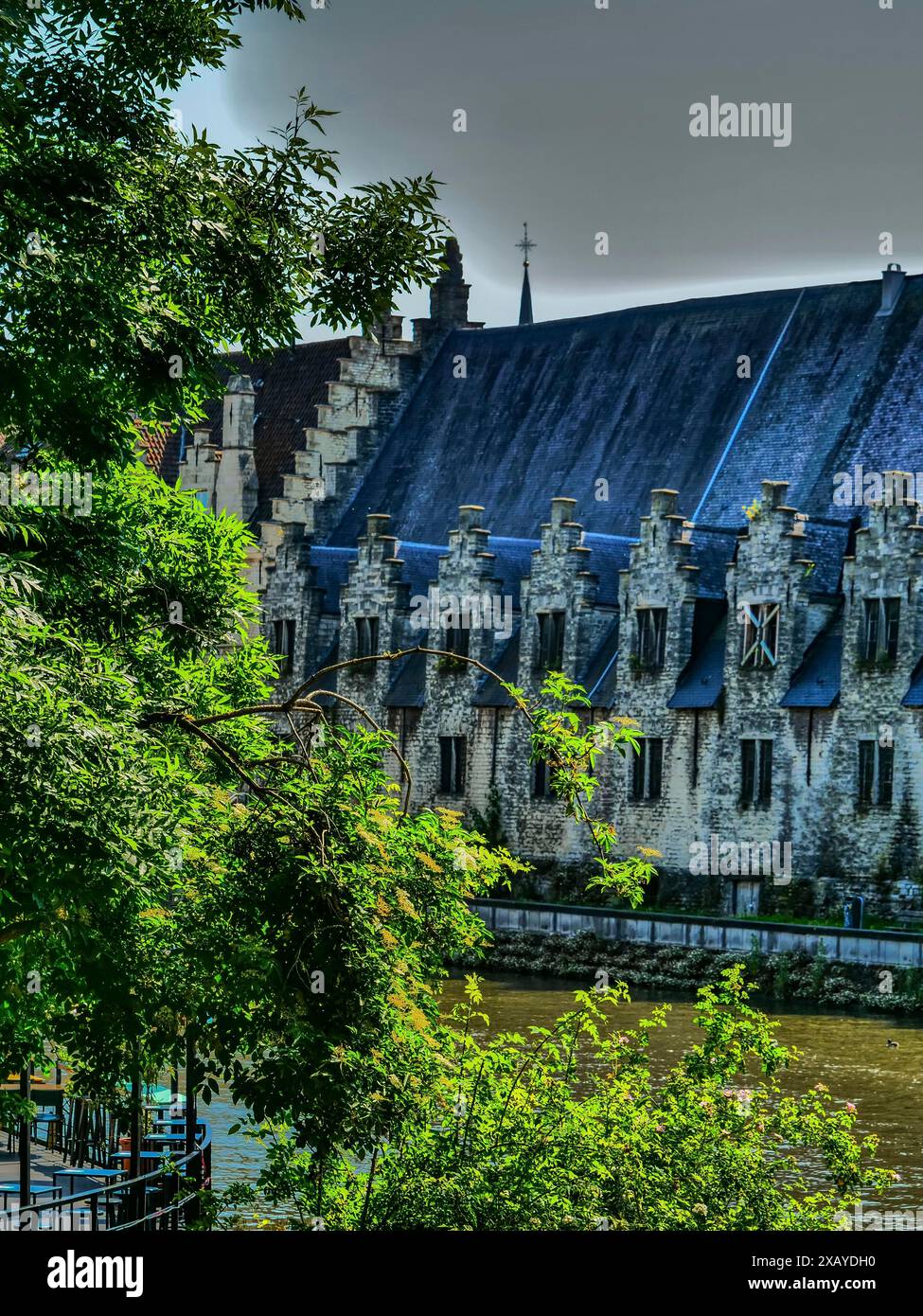 Historic building with Gothic facade surrounded by green trees and ...