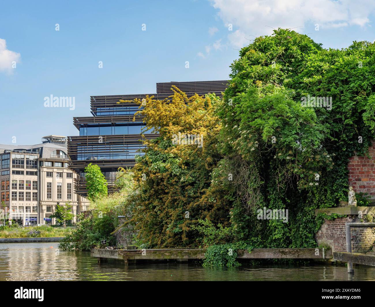 Lush vegetation along a riverbank with a contrast between modern and ...