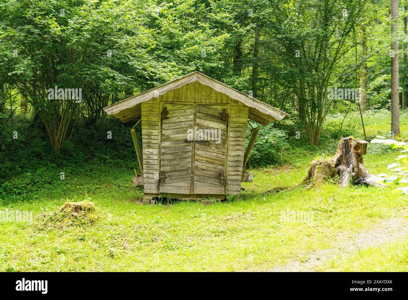 Old wooden hut in the forest hi-res stock photography and images - Alamy