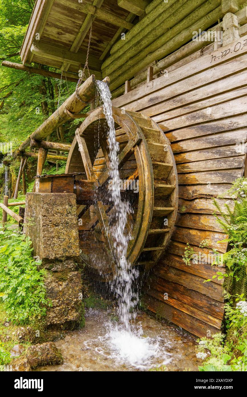 Rustic wooden watermill, water flows over the large mill wheel in the ...
