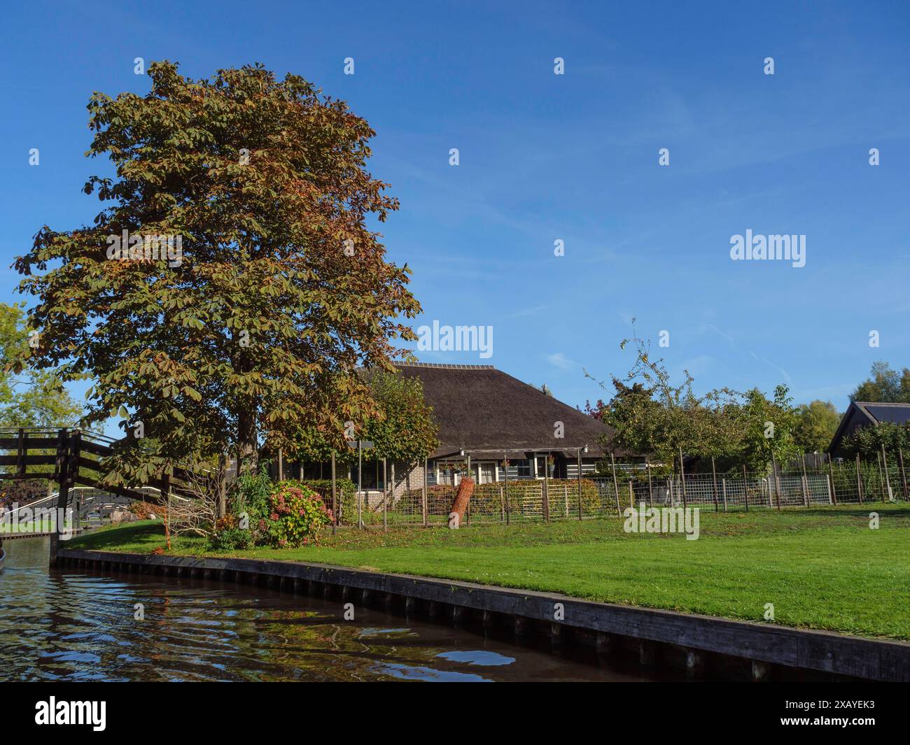 Impressive tree and rural house with thatched roof on a canal in front ...