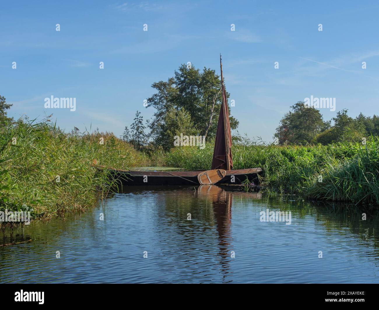 An old sailing boat lies quietly in the river between dense reeds and ...