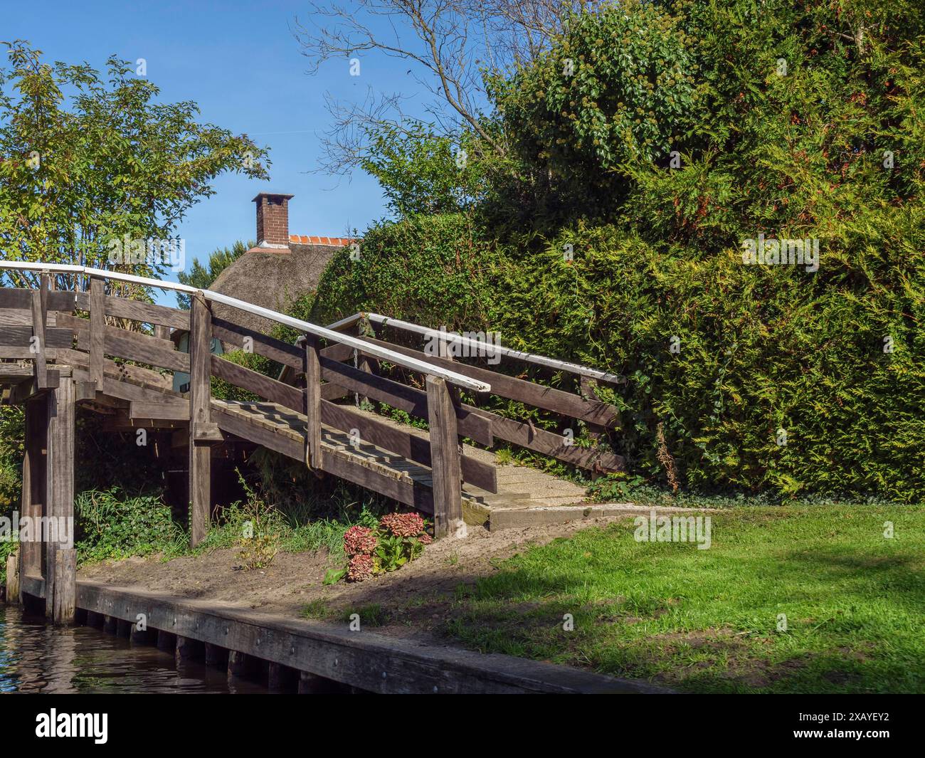 Wooden bridge over a river, surrounded by green vegetation, natural and ...