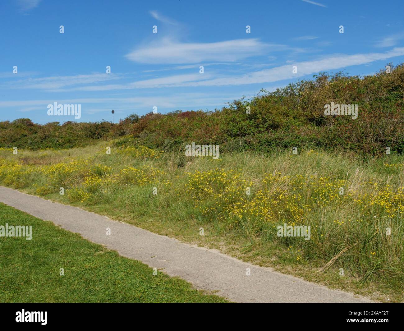 A tarmac path leads through grassy landscapes and hedges under a blue ...