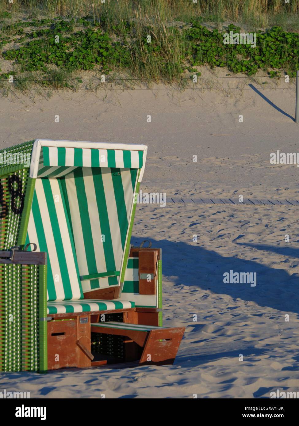 A green beach chair stands on the sand, surrounded by green plants and ...