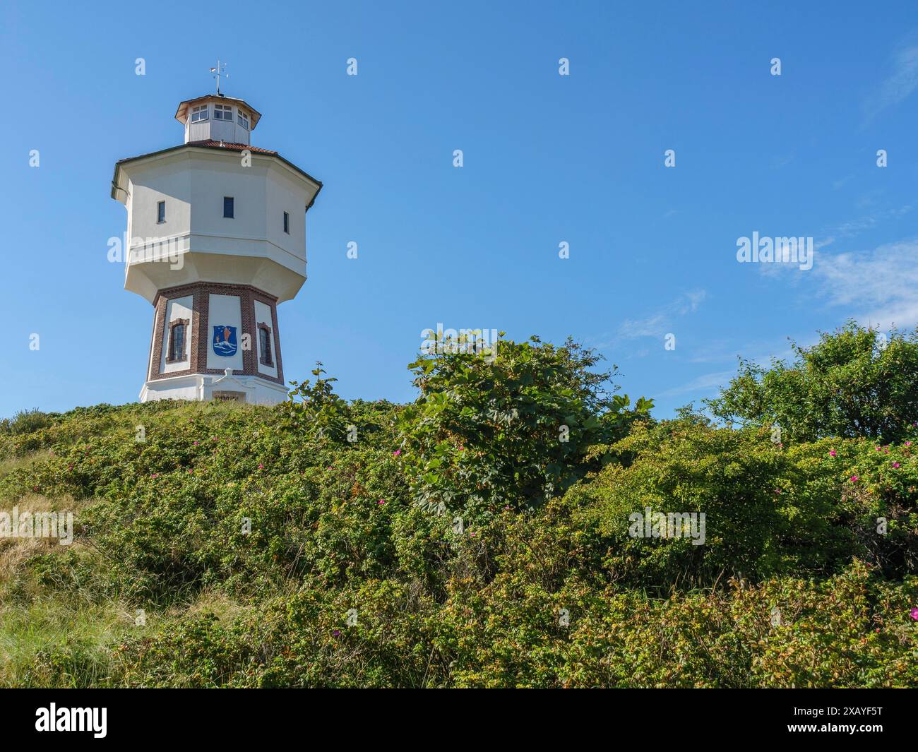 A white water tower on a green hill, surrounded by bushes under a clear ...