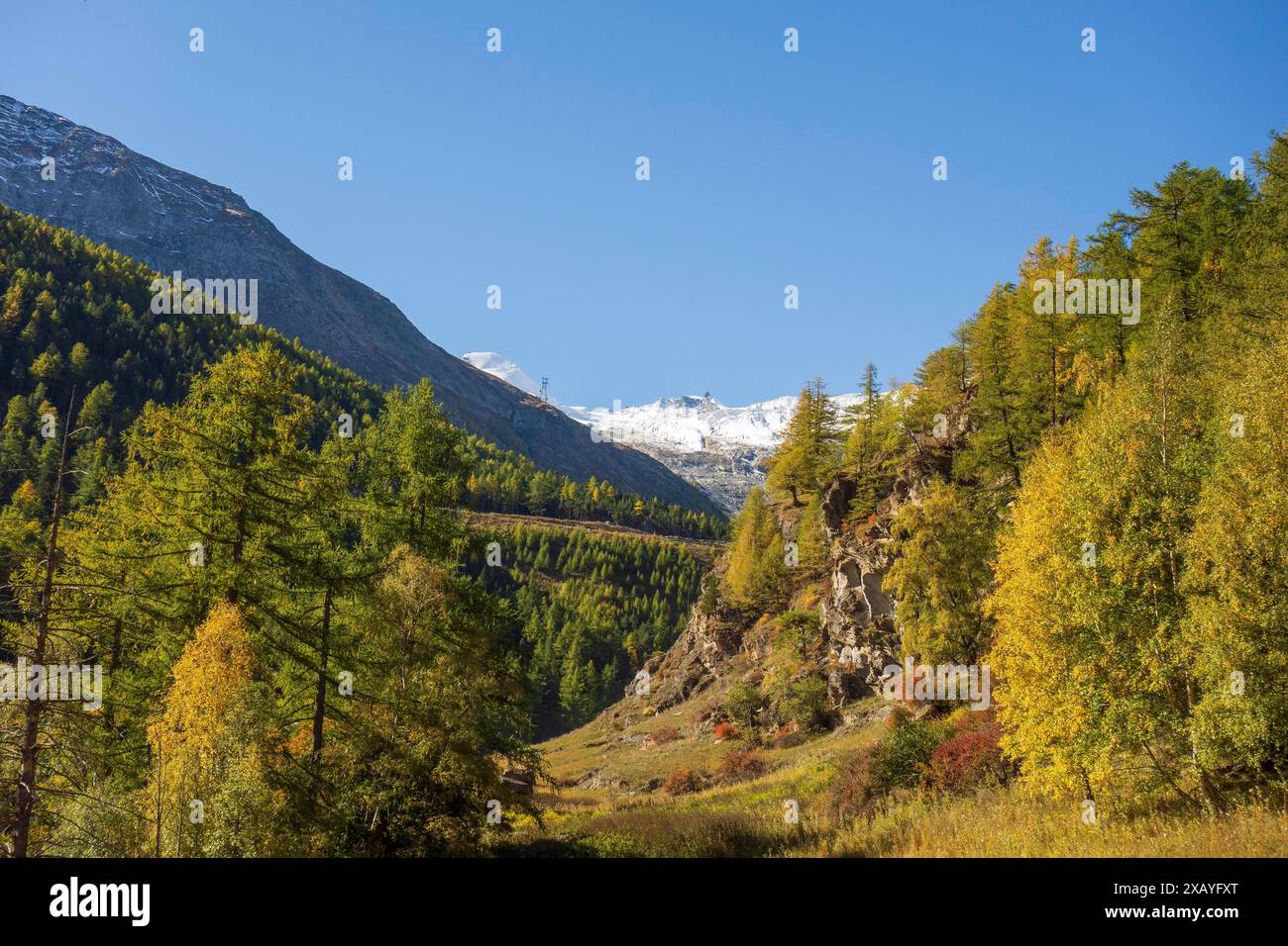 Snow-capped mountains and colourful autumn forest under a clear blue ...