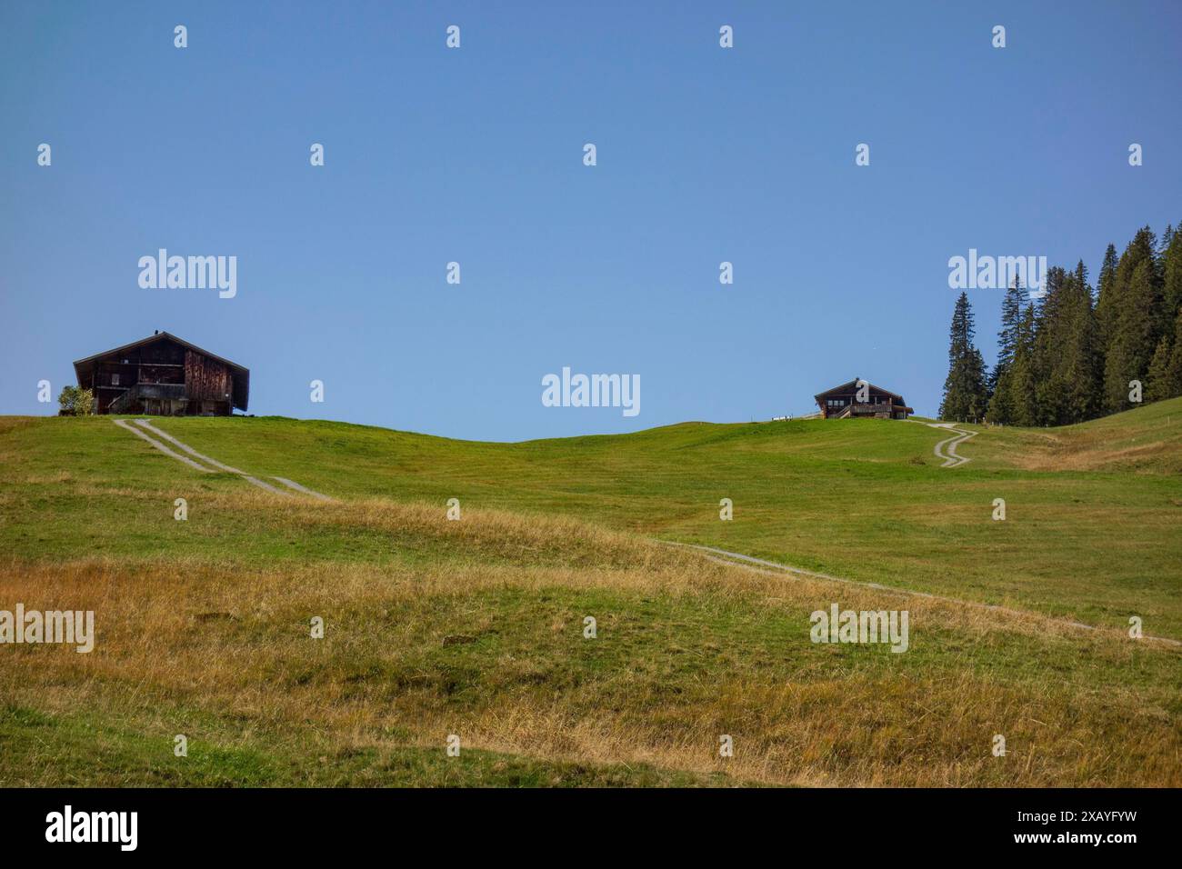 Wooden hut under two trees hi-res stock photography and images - Alamy