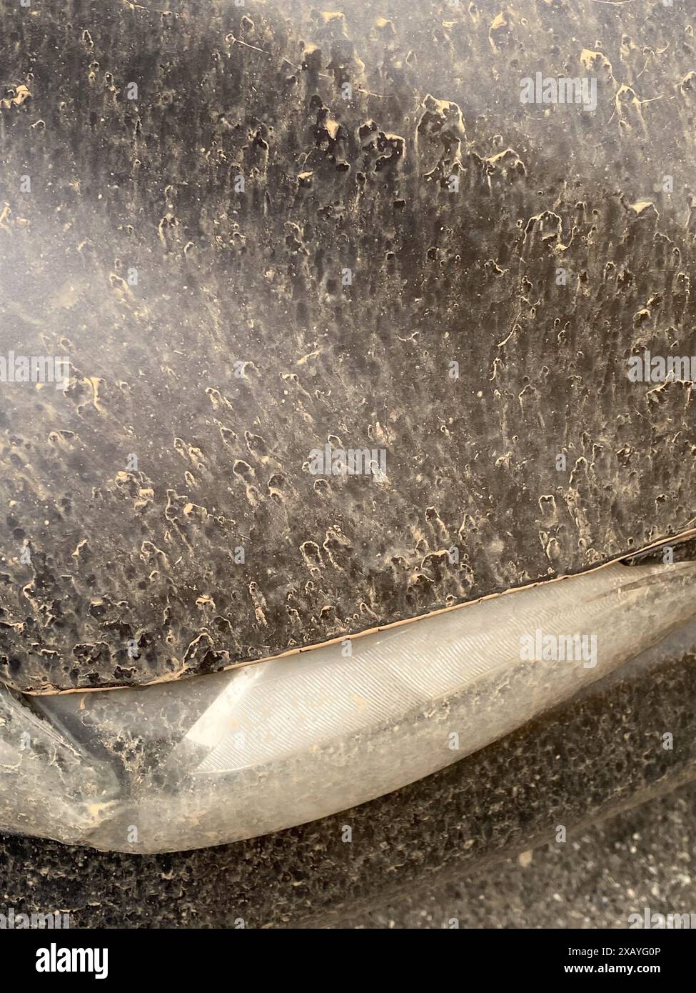 Cremona, Italy - June 9th 2024 Dusty car parked on a city street after ...