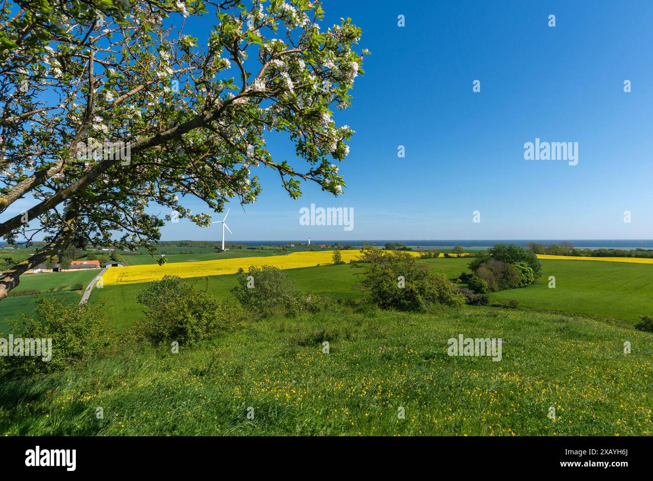 View from Hatbakken Fakkebjerg, Bagenkop, Langeland, agriculture ...