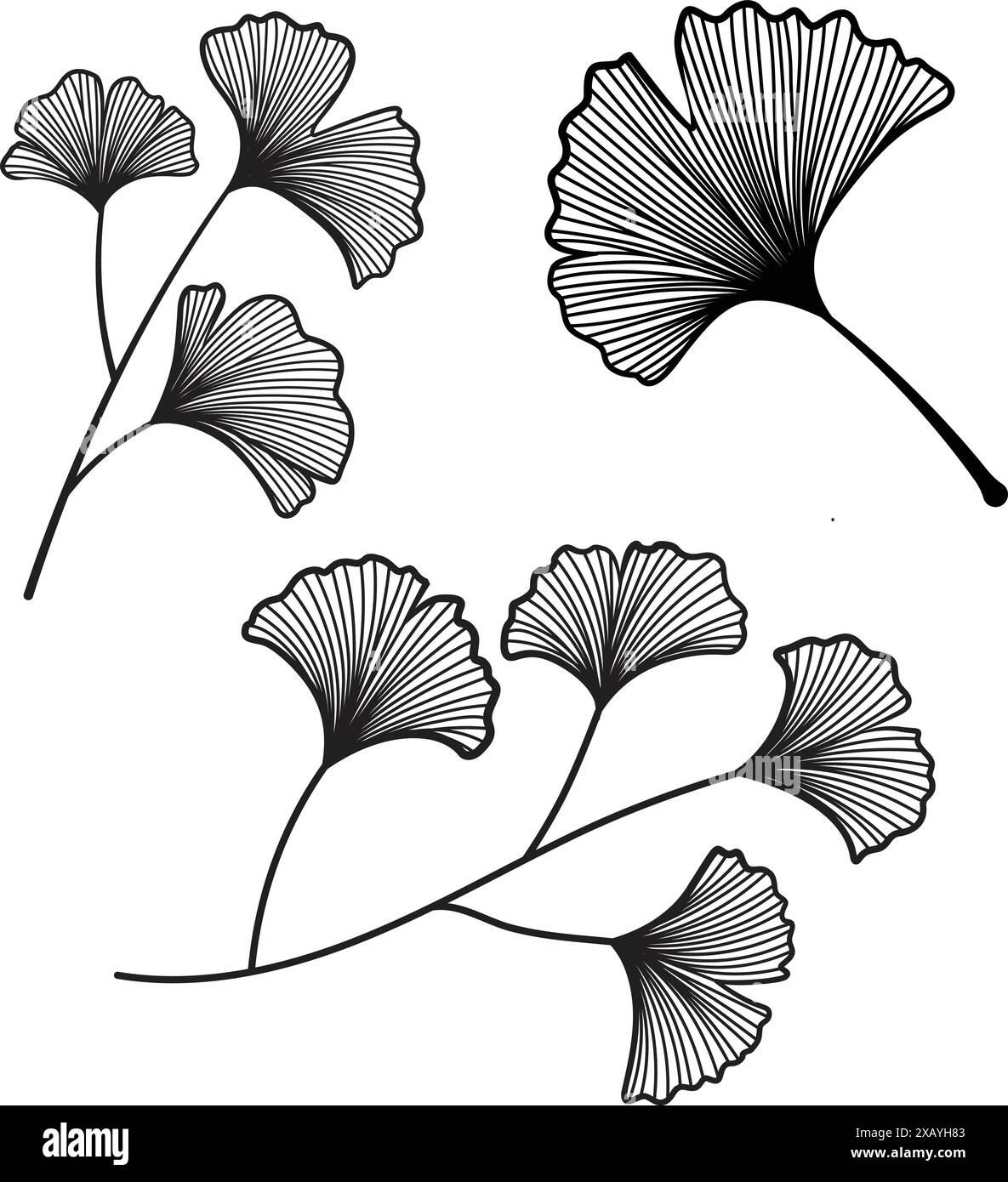 Symbol of hope Black and White Stock Photos & Images - Alamy