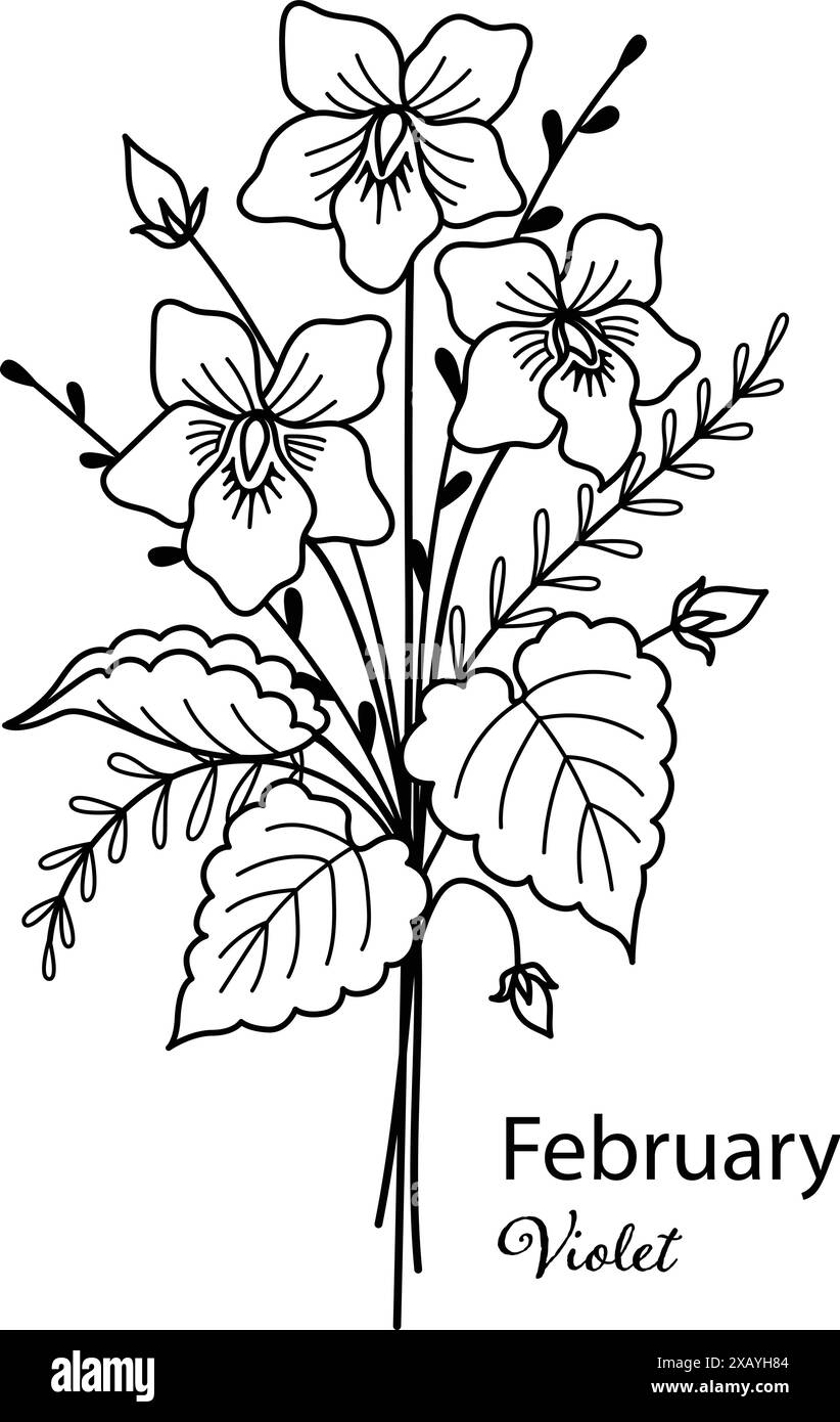 Birth month flower of February is violet flower for printing engraving ...