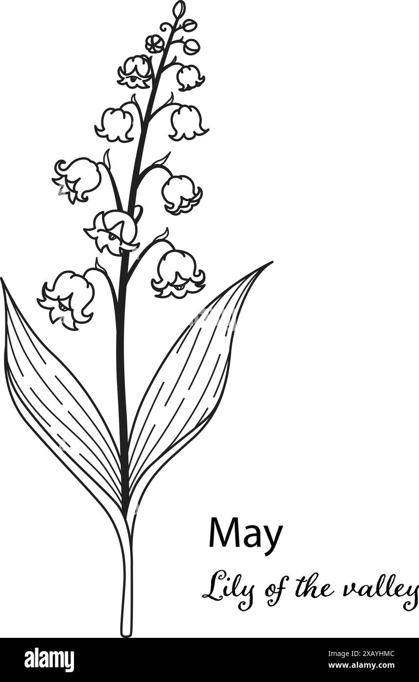 Birth month flower of May is lily of the valley flower for printing ...
