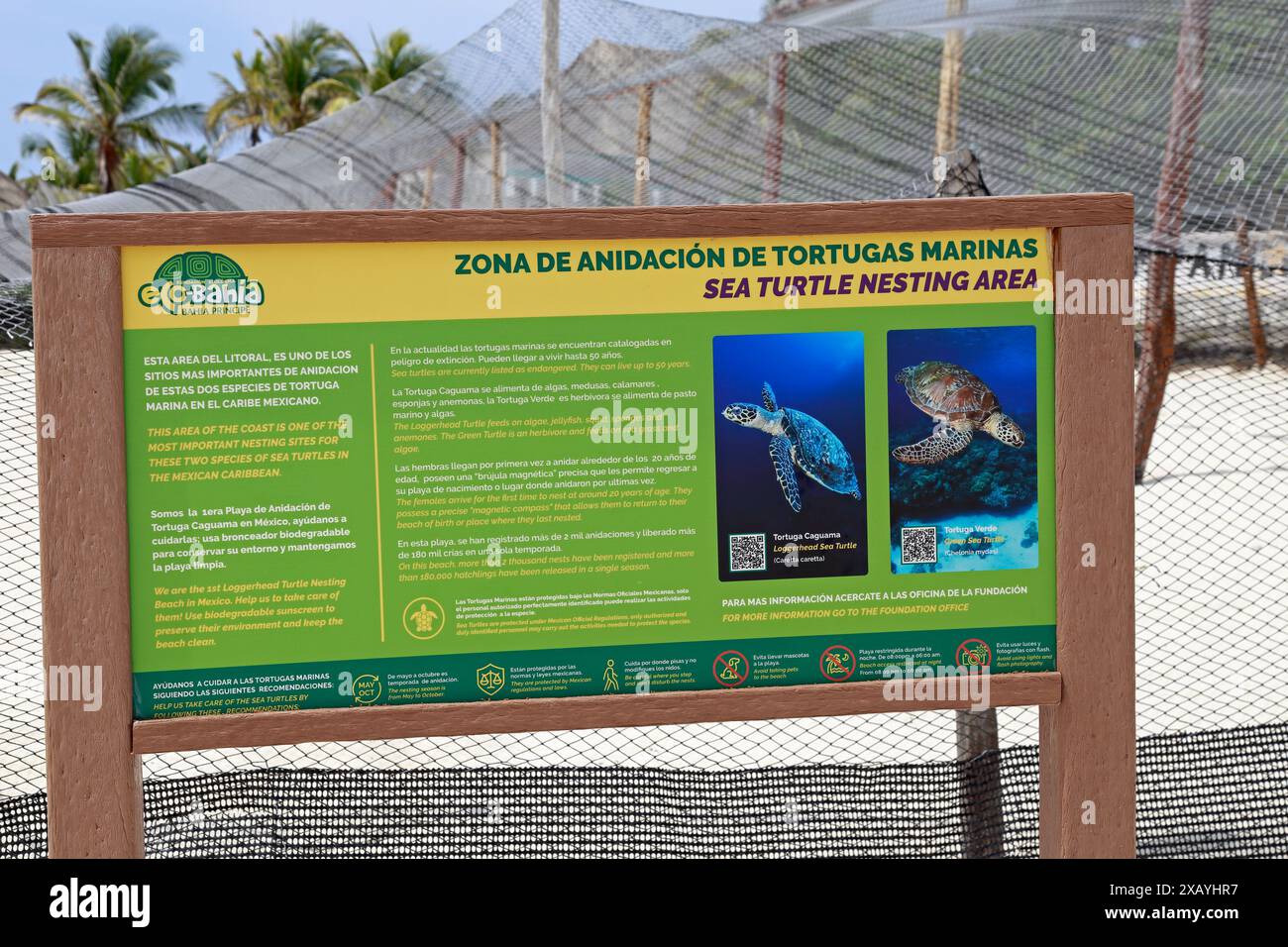 Sea turtle nesting area sign on the beach, Akumal, Quintana Roo ...