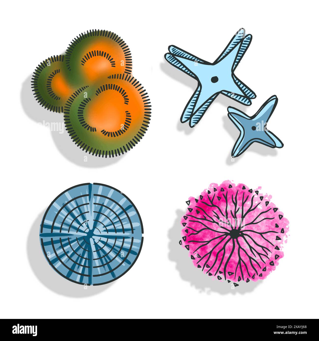 Set trees top view in color. Pictograms for general plans landscape ...