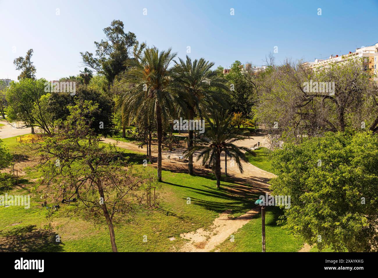 Jardin del turia spring hi-res stock photography and images - Alamy