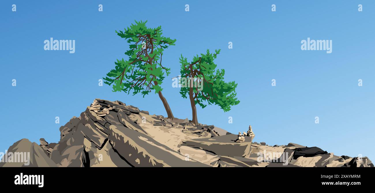 Trees, two pine trees on hill isolated on blue sky background Stock ...