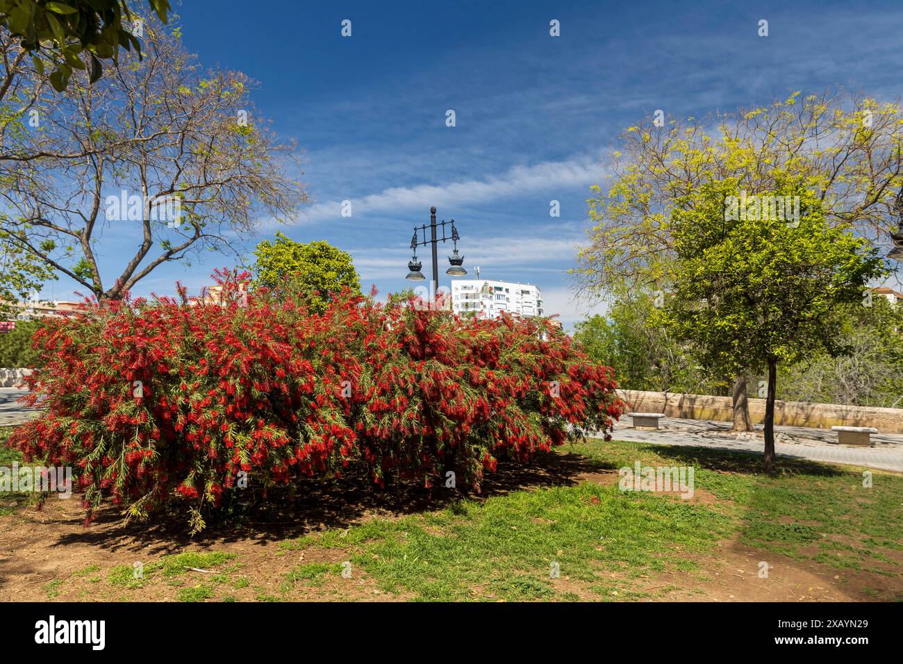 Valencia, Spain - 20 March 2024. Park in the former riverbed of the ...