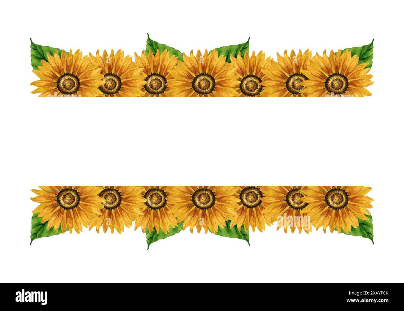 Sunflowers border hi-res stock photography and images - Alamy