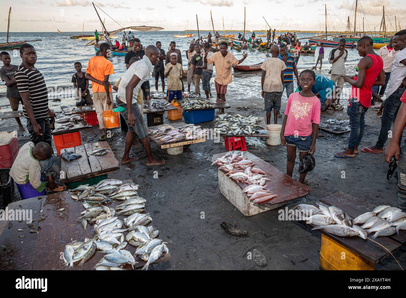 Mozambique, Cabo Delgado, Macímboa da Praia, Fish market on the beach ...