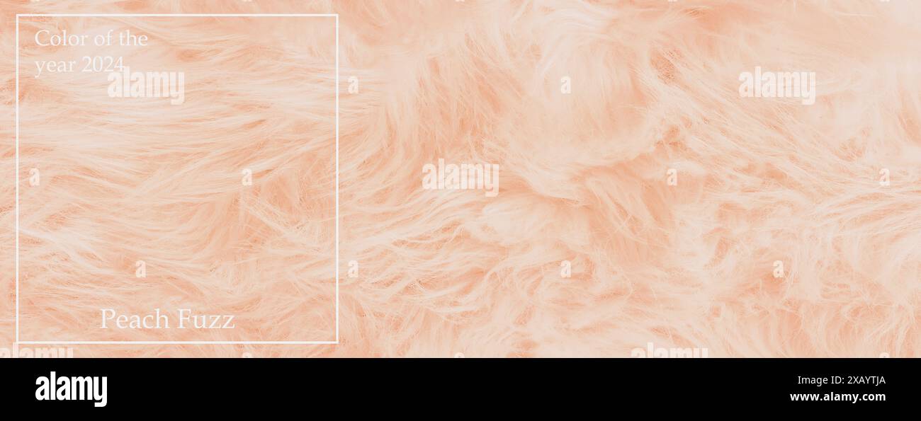 Color swatch banner with color of the year 2024, Peach Fuzz. Current ...