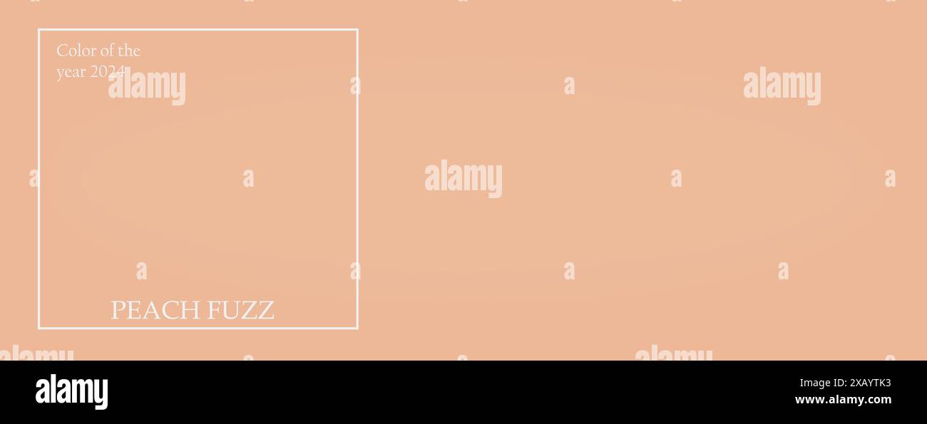 Color swatch banner with color of the year 2024, Peach Fuzz. Current ...