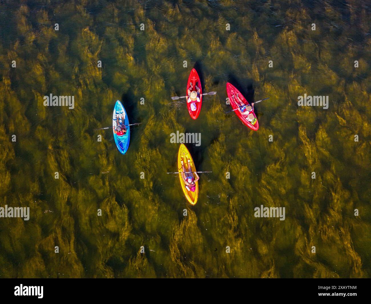 Kayaks float over eel grass on the Salt River in the Tonto National ...