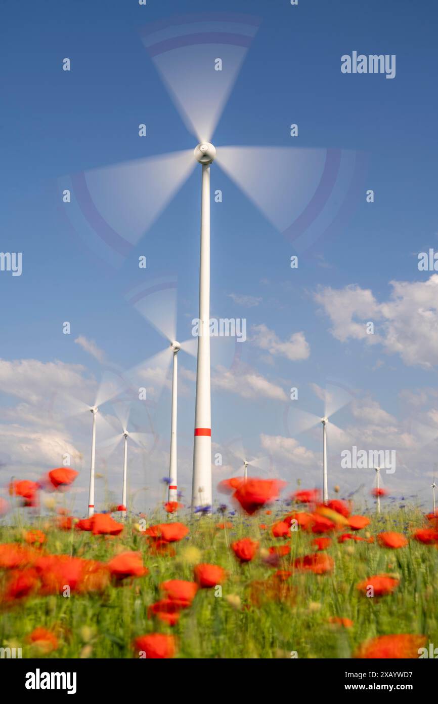 Wind farm, field with flower strips, insect-friendly border of fields ...