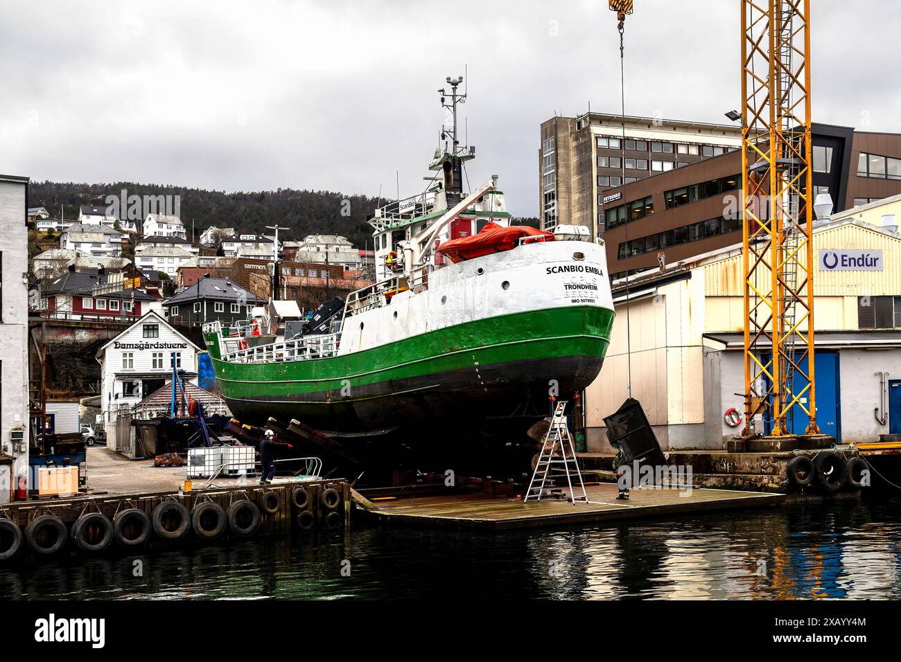 Scanbio hi-res stock photography and images - Alamy