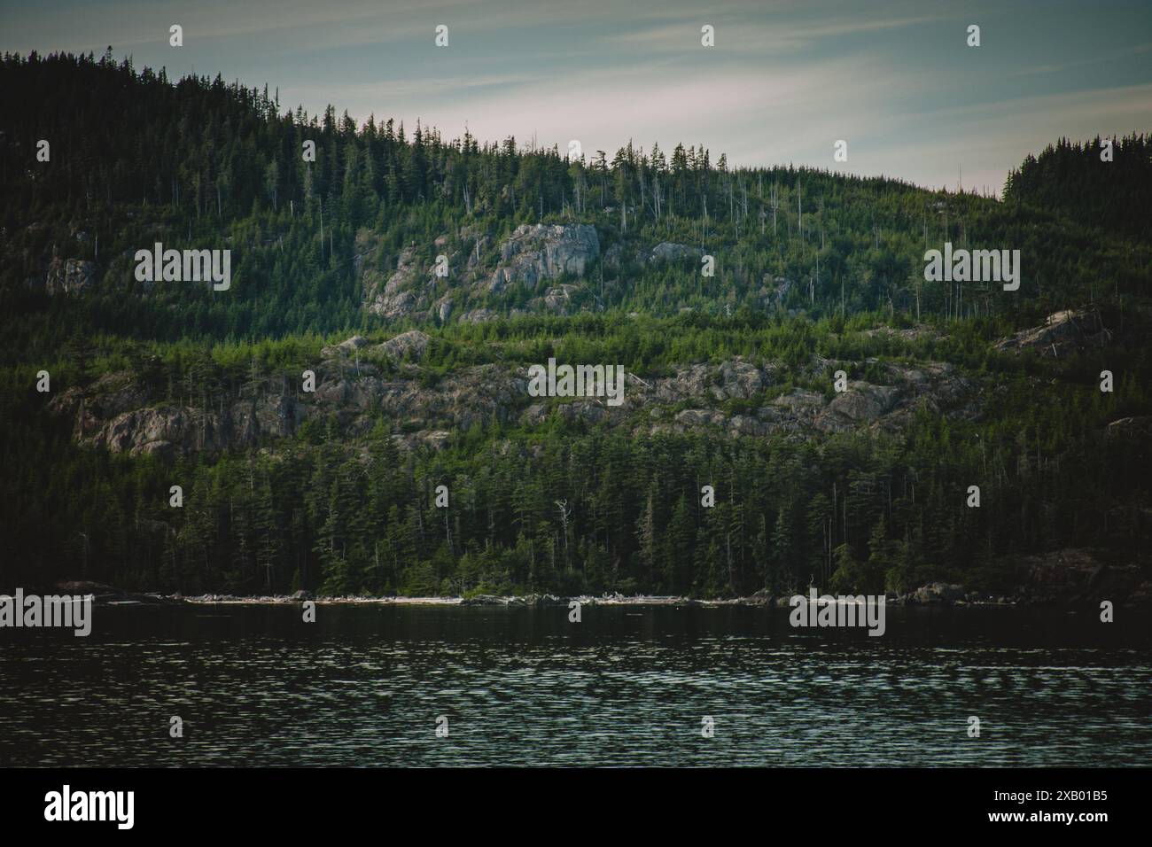 This photo captures the rugged beauty of Alaska's wilderness ...