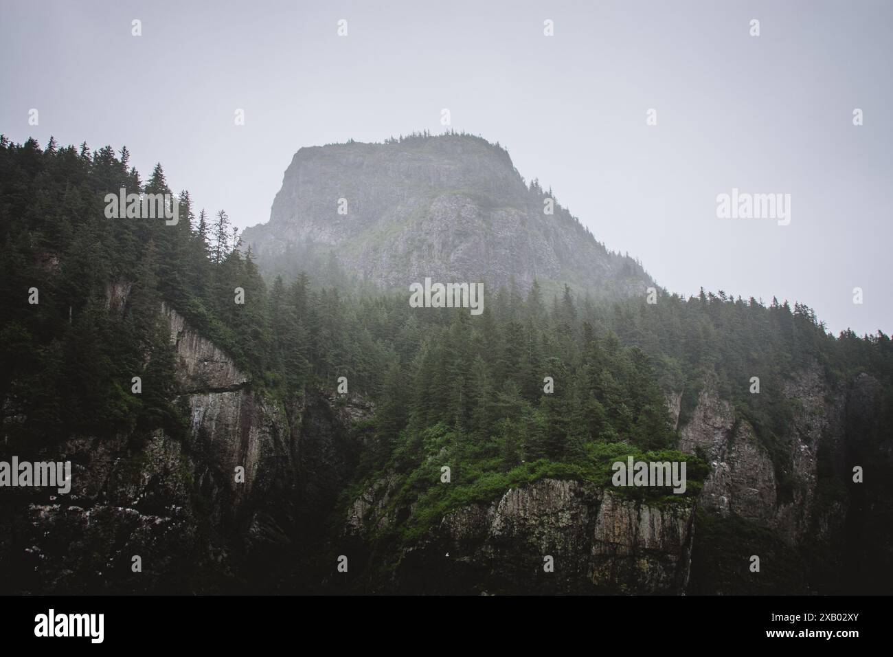 A majestic view of a towering Alaskan mountain shrouded in mist and ...
