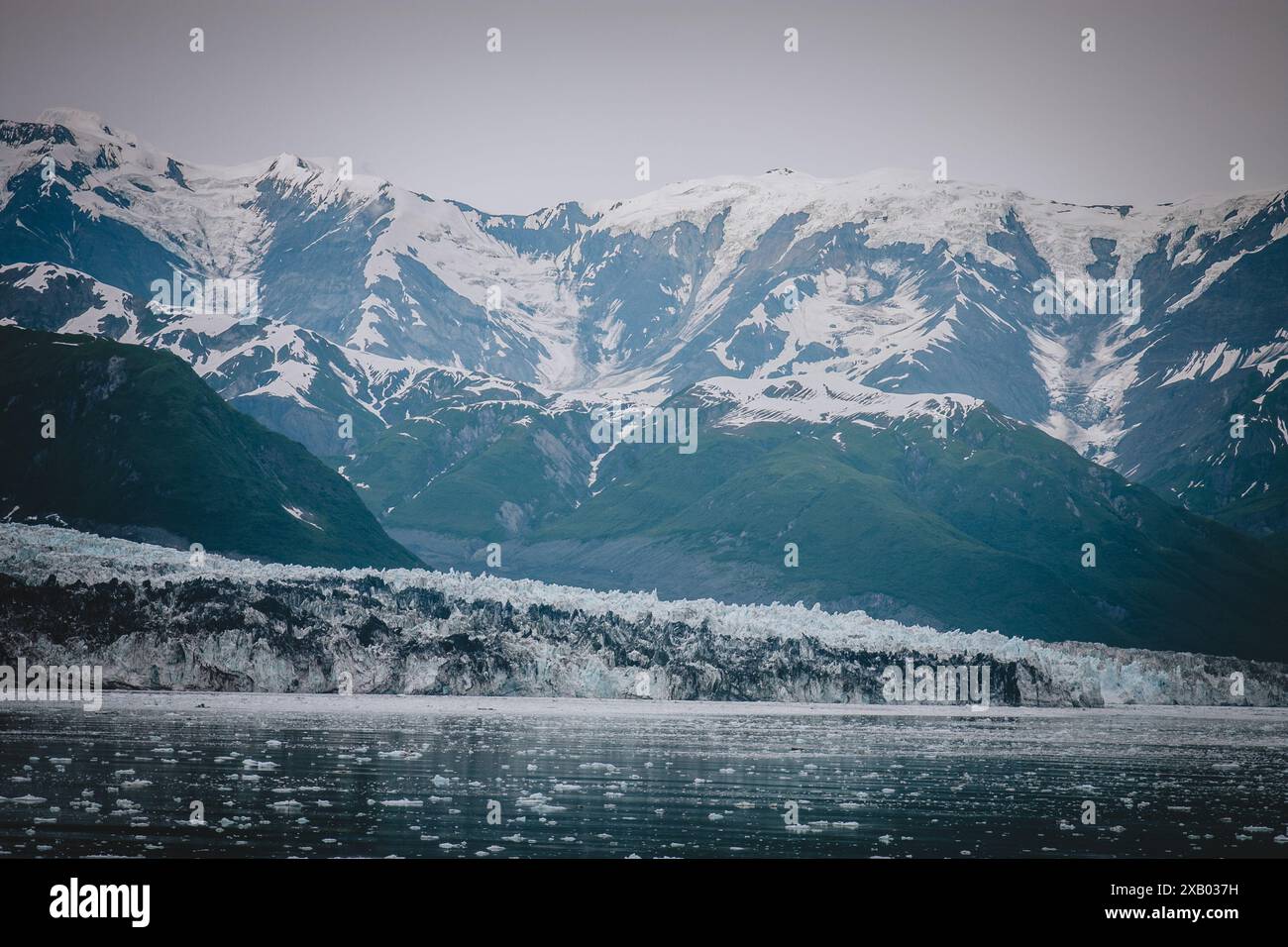 This mesmerizing photo showcases the breathtaking contrast between lush ...