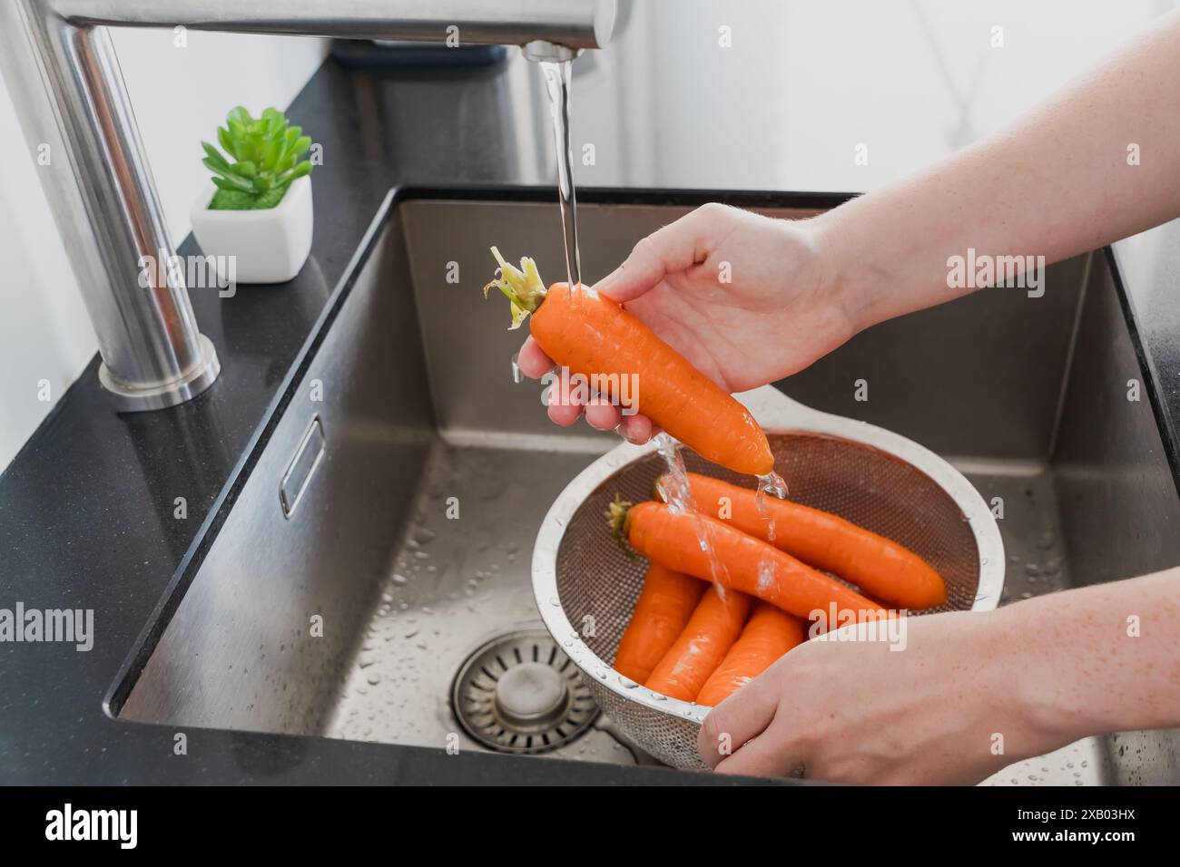 Person washes fresh carrots under running water in a kitchen sink ...