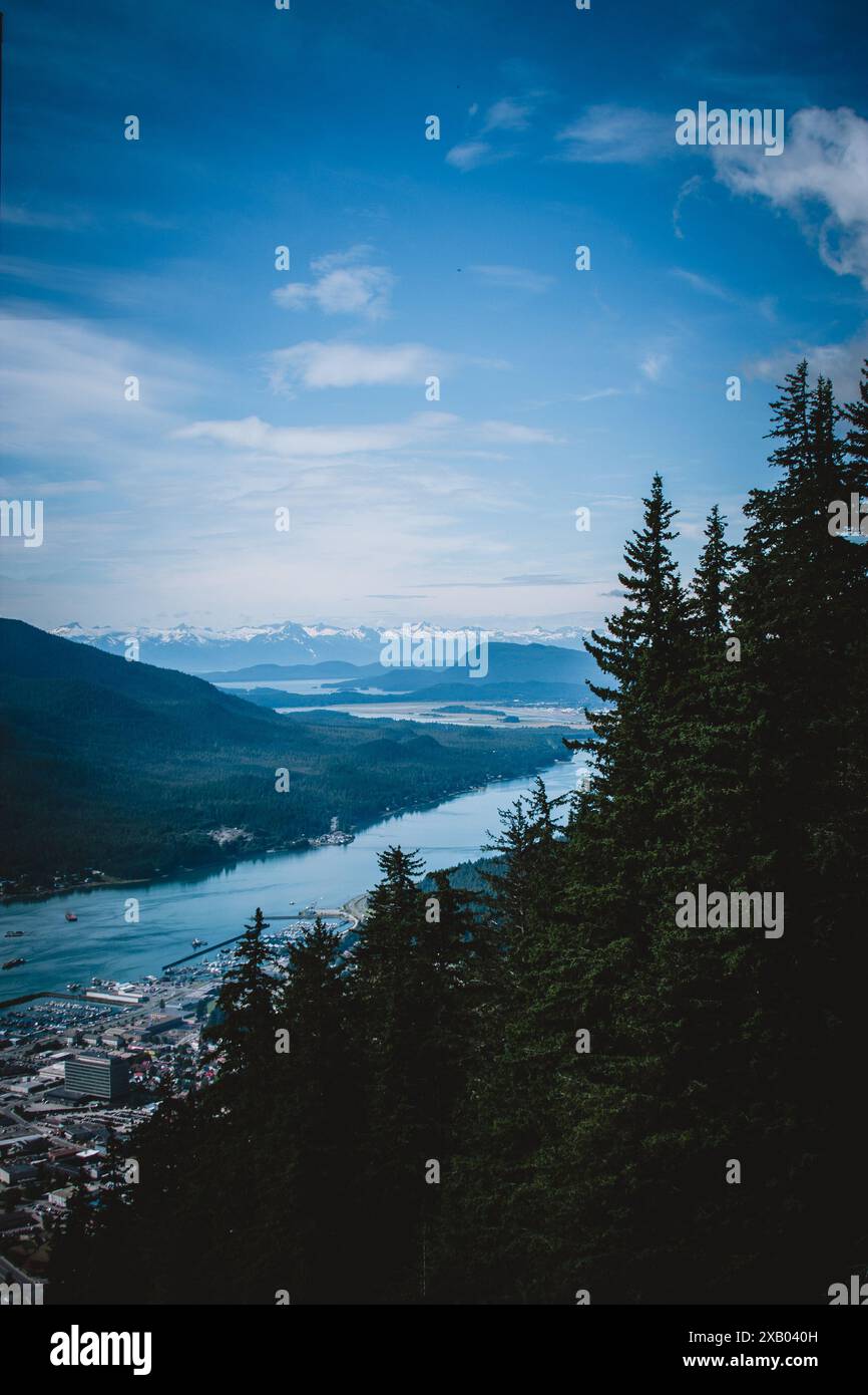 Aerial view mesmerizing panoramic forest hi-res stock photography and ...