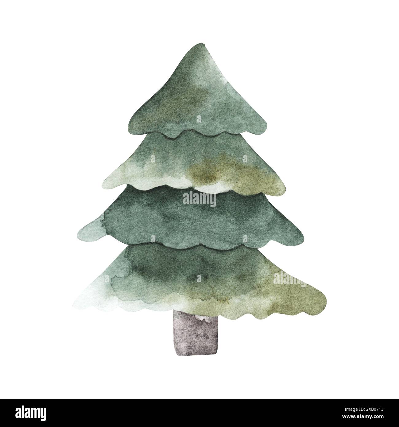 Cute fir tree watercolor illustration isolated on white background ...