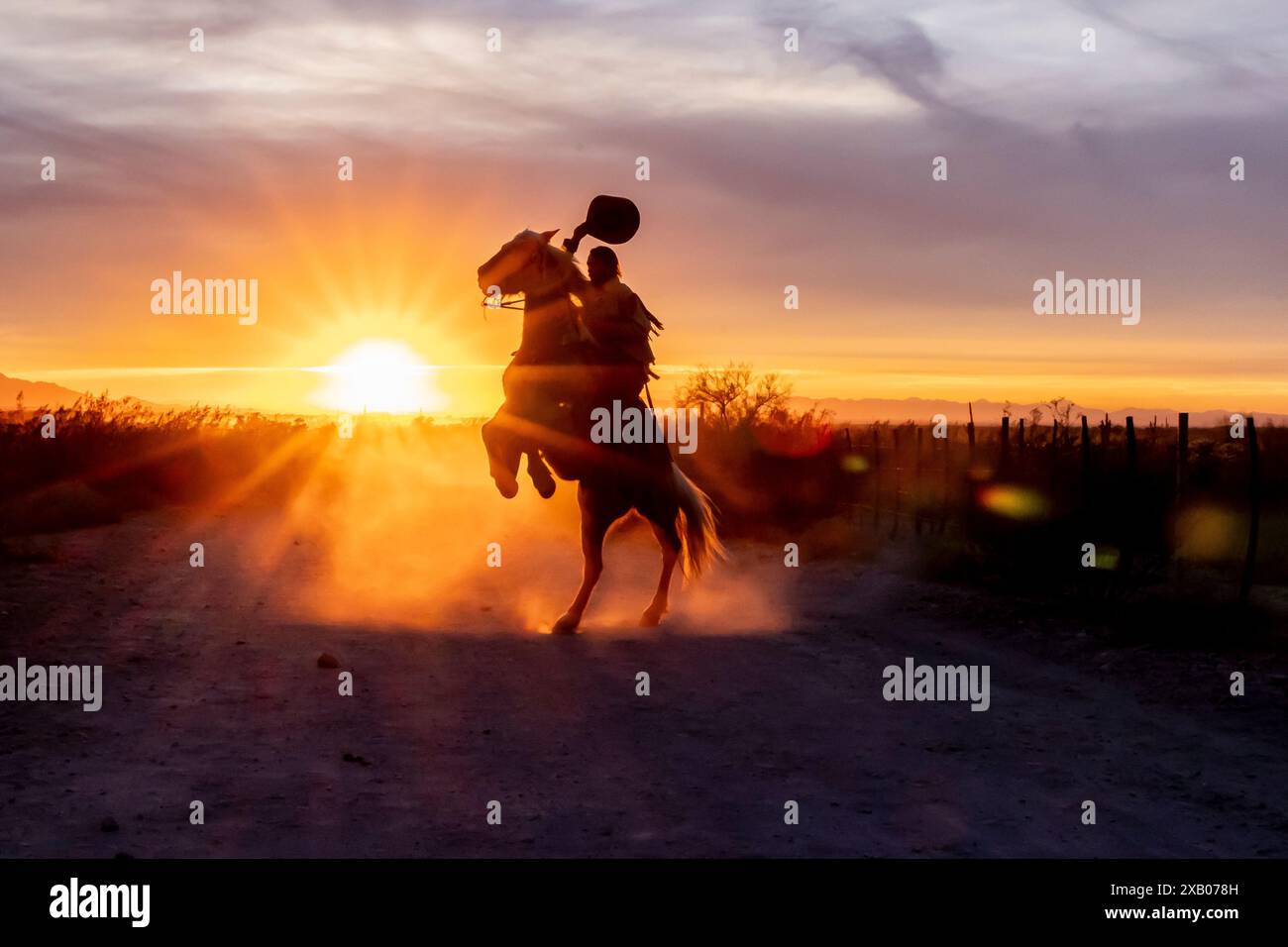 Silhouette of a ranch hand, or cowboy, riding his horse in the sunset ...