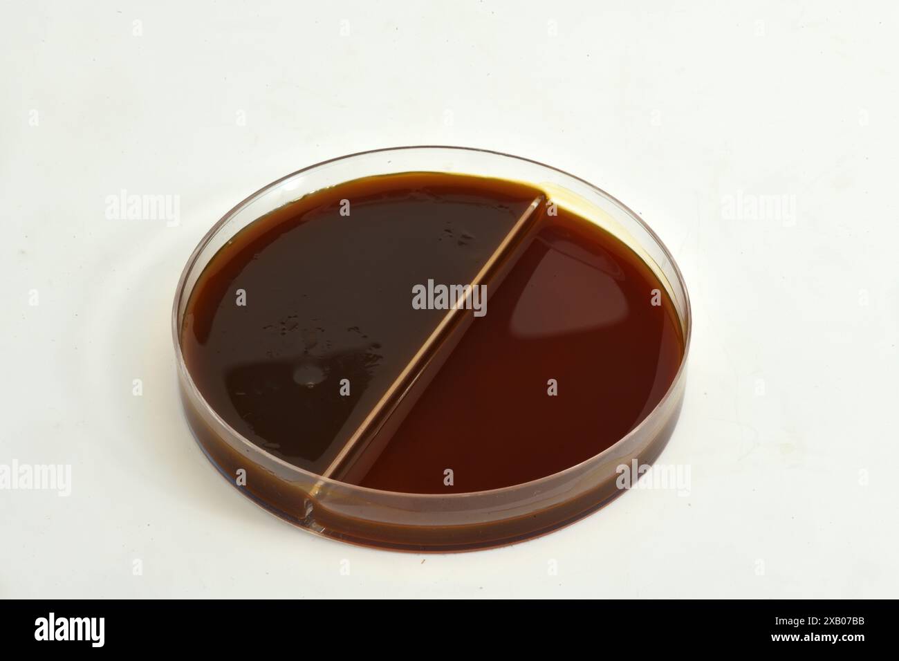 A sample of crude oil from the Niagara Two wildcat well, drilled to a ...